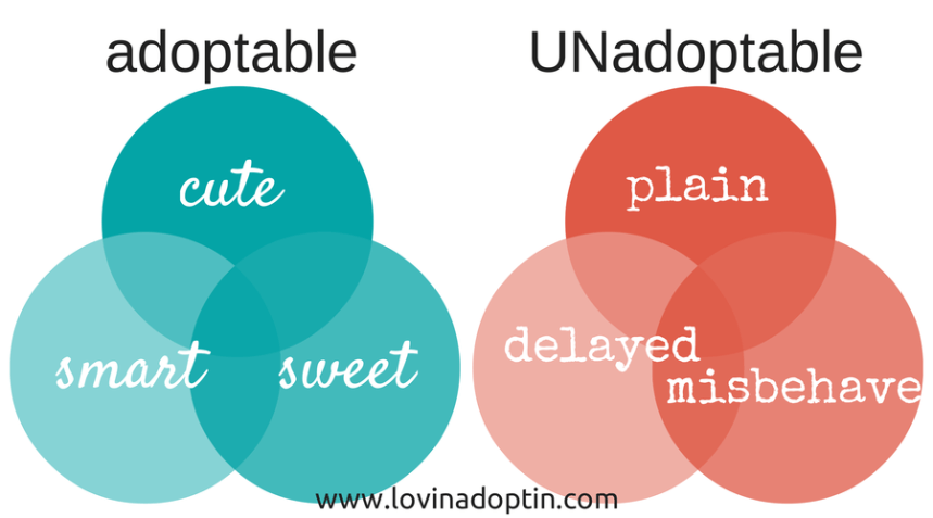will they adopt me? adoption from a childs perspective – lovin' adoptin ...